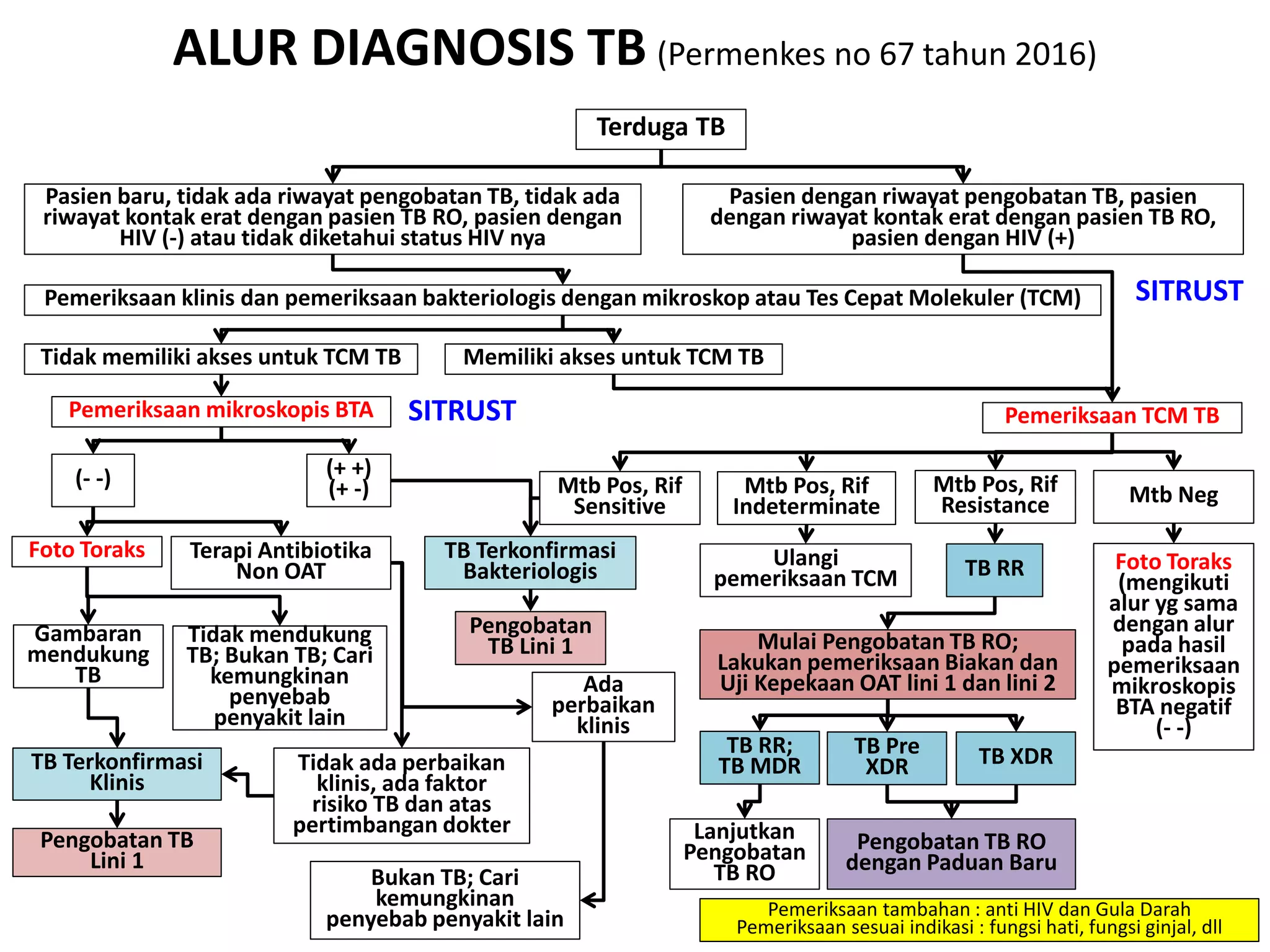DIAGNOSIS TB MDR.ppt