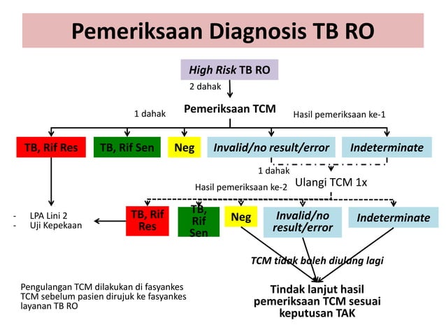 DIAGNOSIS TB MDR.ppt