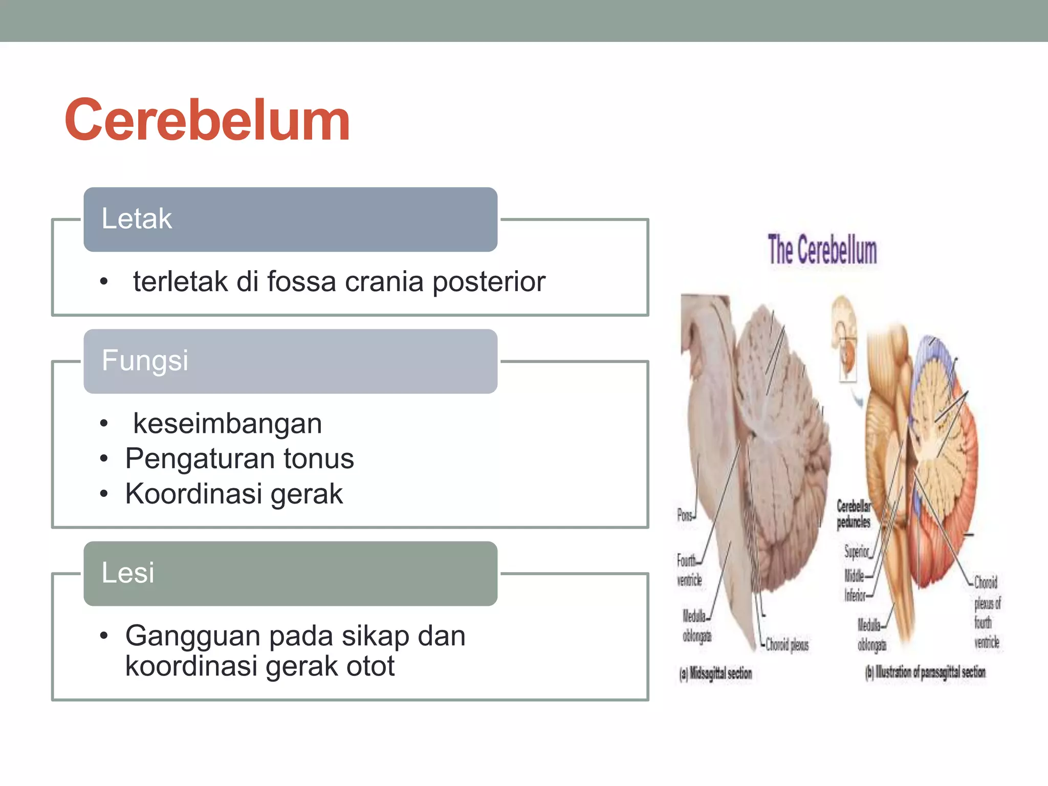 Diagnosis tumor otak | PPTX