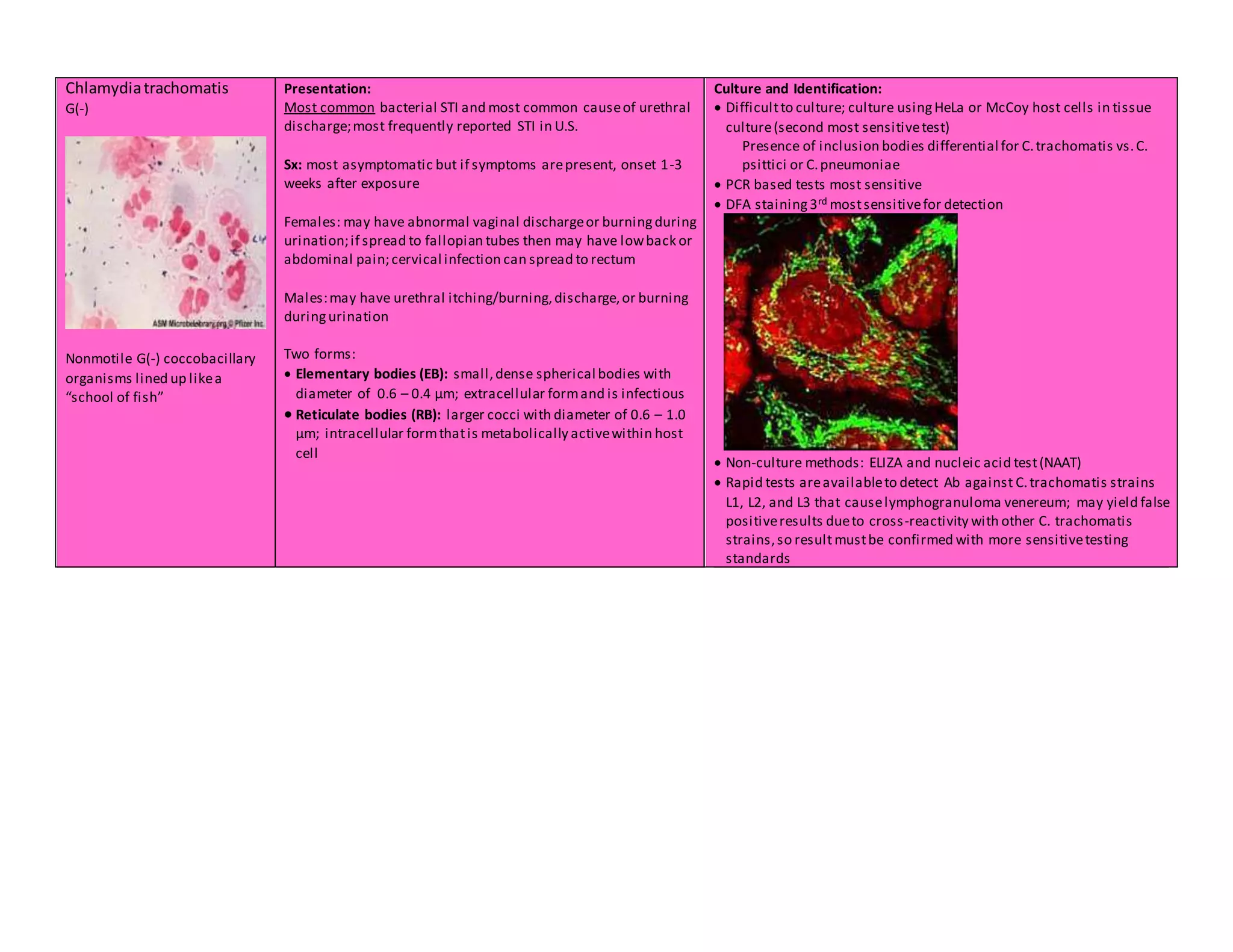 Diagnostic Testing for Bacterial STDs and UTIs | PPT