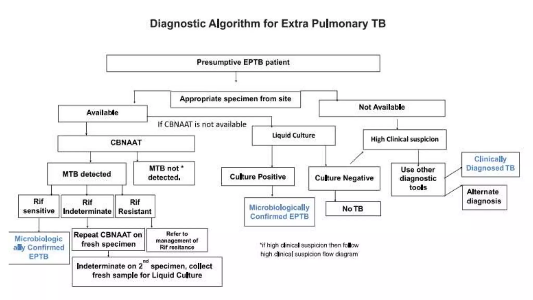 Treatment of Tuberculosis | PPTX