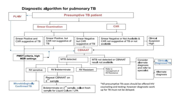 Treatment of Tuberculosis | PPTX | Lung and Respiratory Health ...