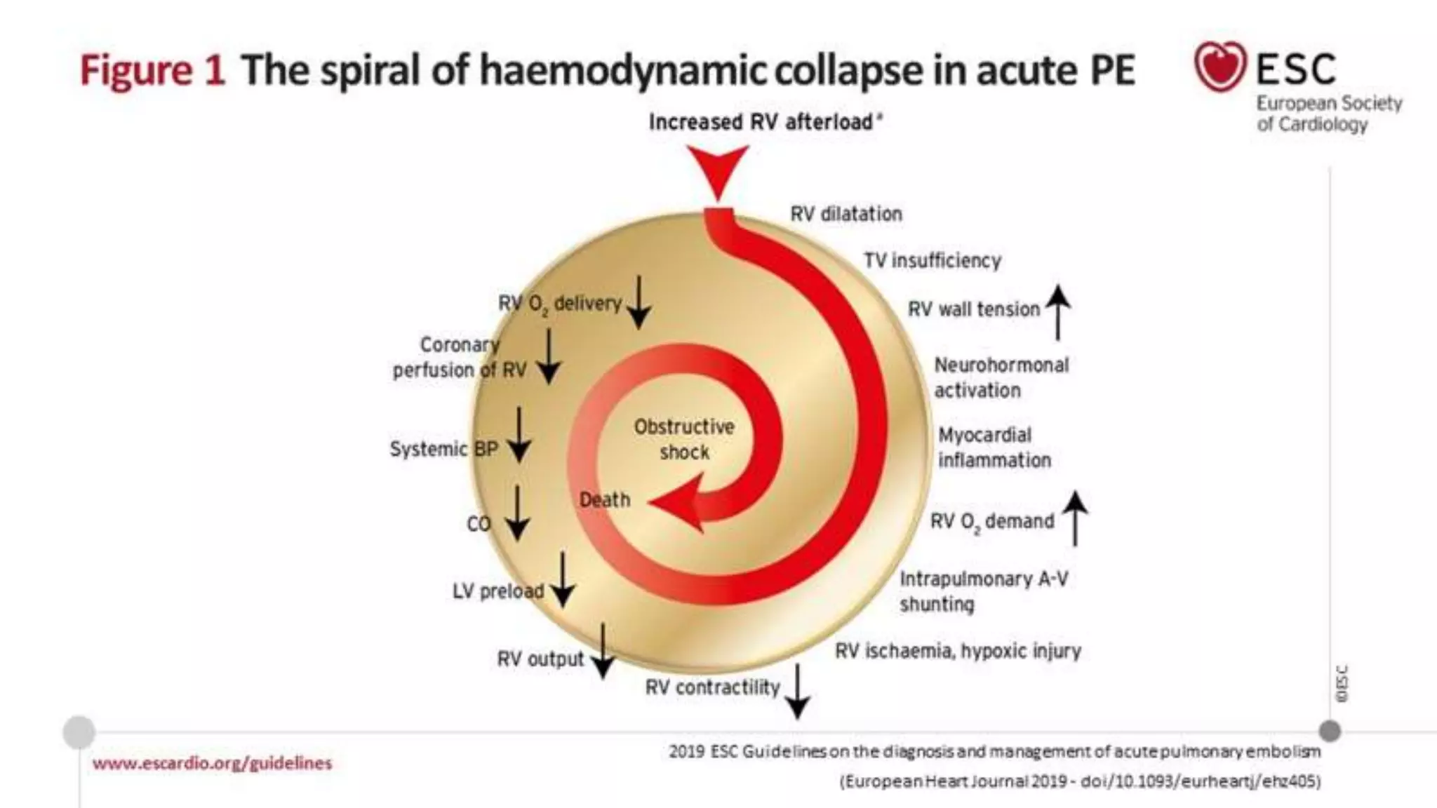 Diagnostic Algorithm for Acute Pulmonary Embolism.pptx