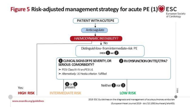 Diagnostic Algorithm for Acute Pulmonary Embolism.pptx