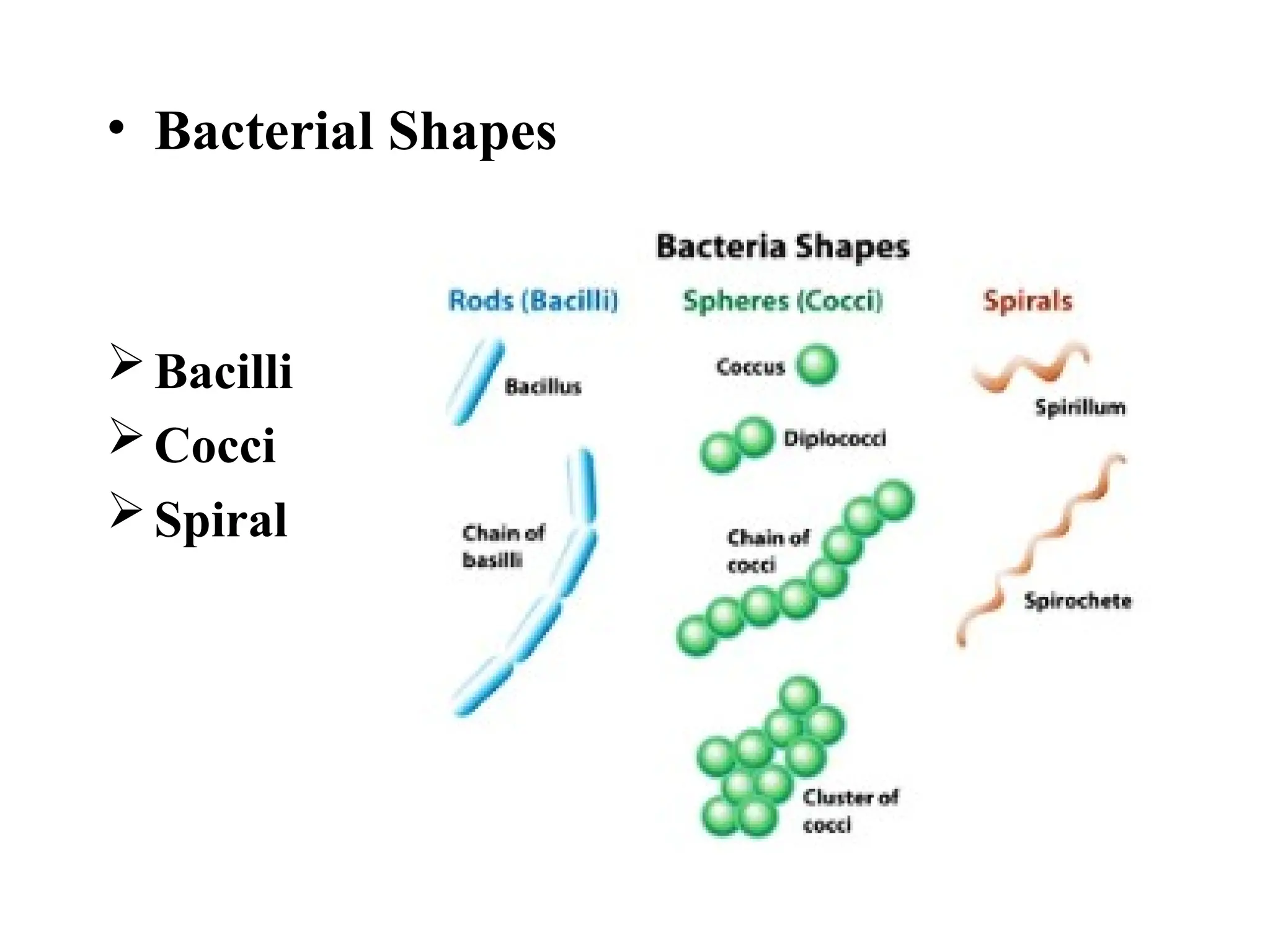 Diagnostic bacteriology and classes and bacterial sample collection.ppt