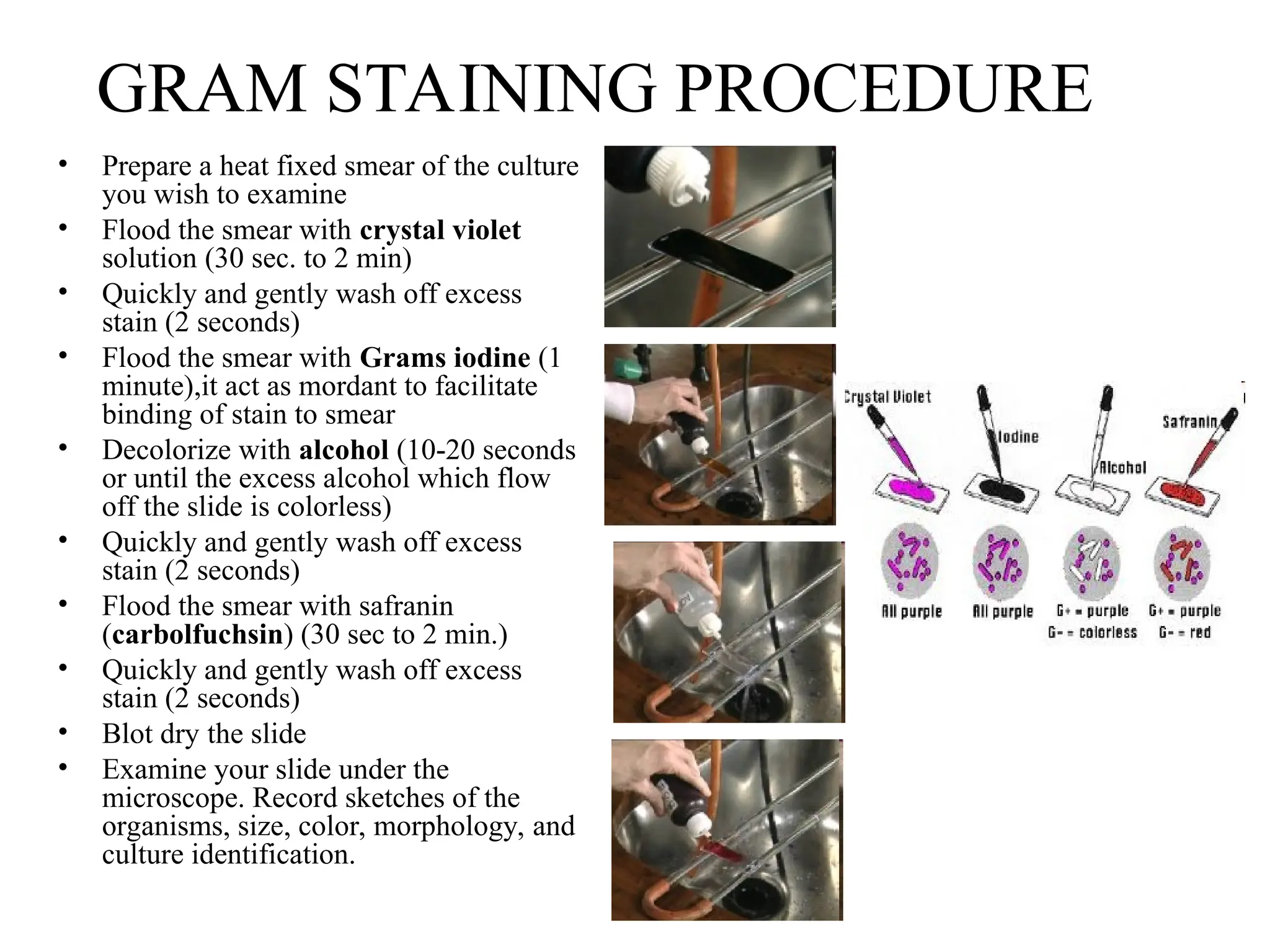Diagnostic bacteriology and classes and bacterial sample collection.ppt