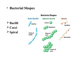 Diagnostic bacteriology and classes and bacterial sample collection.ppt