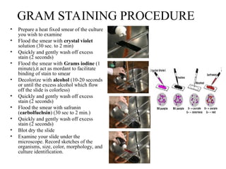 Diagnostic bacteriology and classes and bacterial sample collection.ppt
