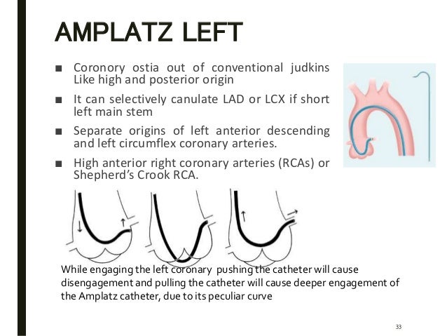 Diagnostic catheters for coronary angiography