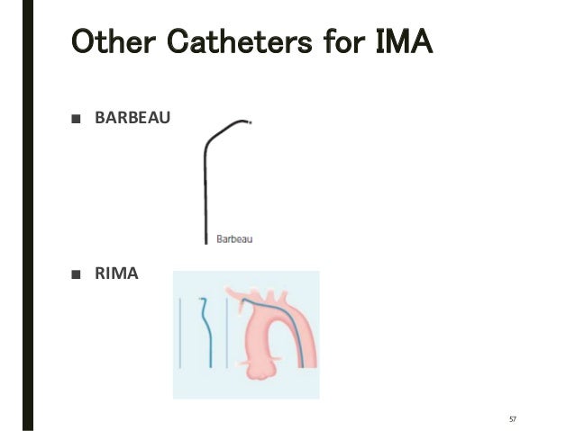 Diagnostic catheters for coronary angiography