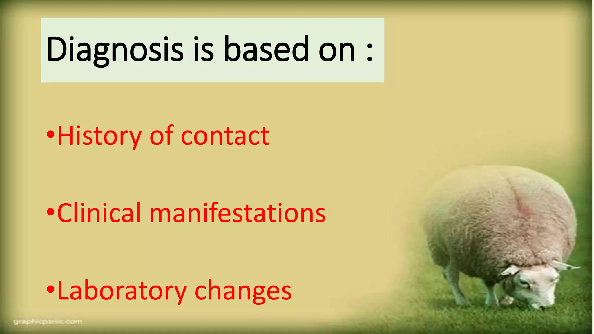 Human Brucellosis Diagnosis Guidelines – JTCP