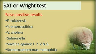 Diagnosis of brucellosis | PPTX