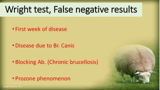 Diagnosis of brucellosis | PPTX