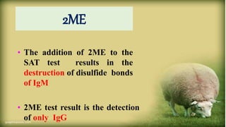 Diagnosis of brucellosis | PPTX