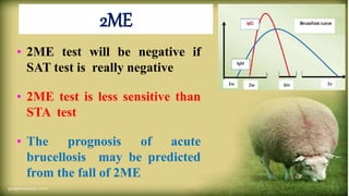 Diagnosis of brucellosis | PPTX