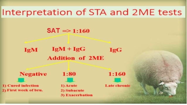 Diagnosis of brucellosis | PPTX