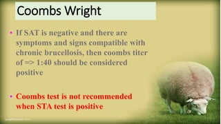 Diagnosis of brucellosis | PPTX