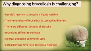 Diagnosis of brucellosis | PPTX