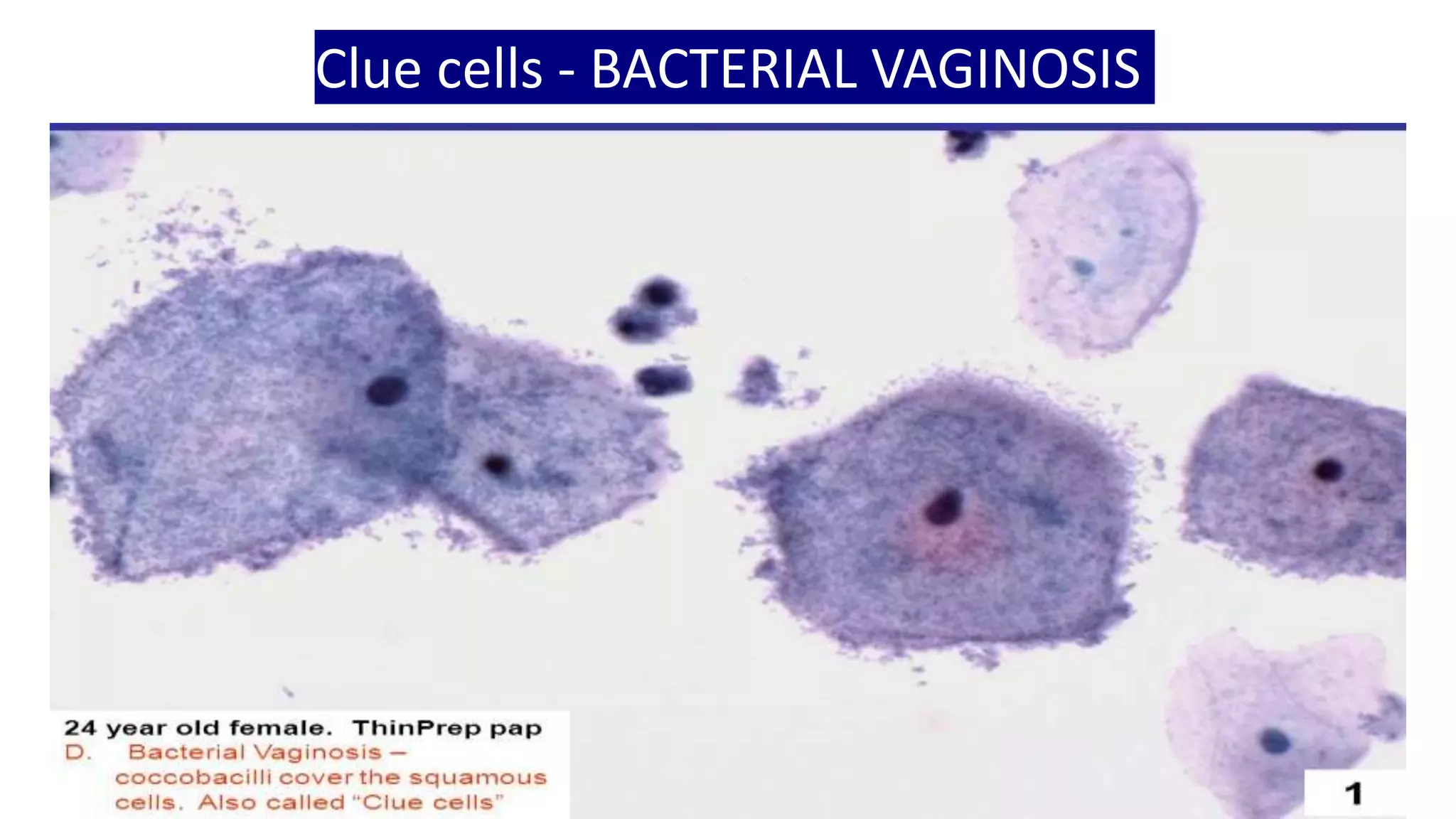 Diagnostic cytology practical UG.pptx