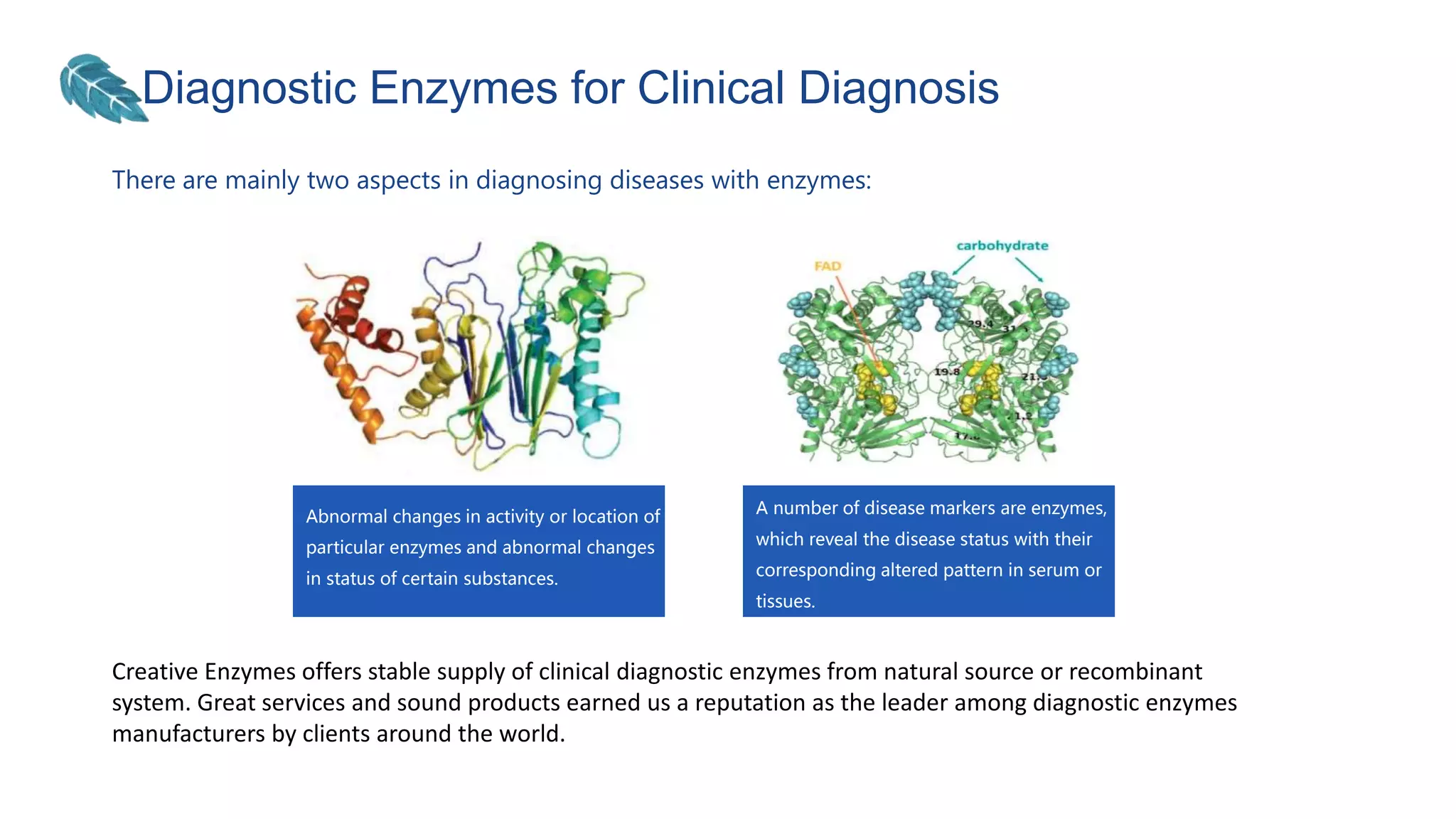 Diagnostic enzymes | PPTX