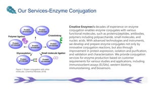 Diagnostic enzymes | PPTX