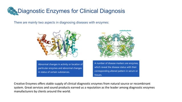 Diagnostic enzymes | PPTX | Endocrine and Metabolic Diseases | Diseases ...