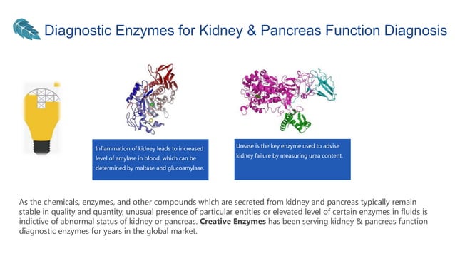 Diagnostic enzymes | PPTX | Endocrine and Metabolic Diseases | Diseases ...