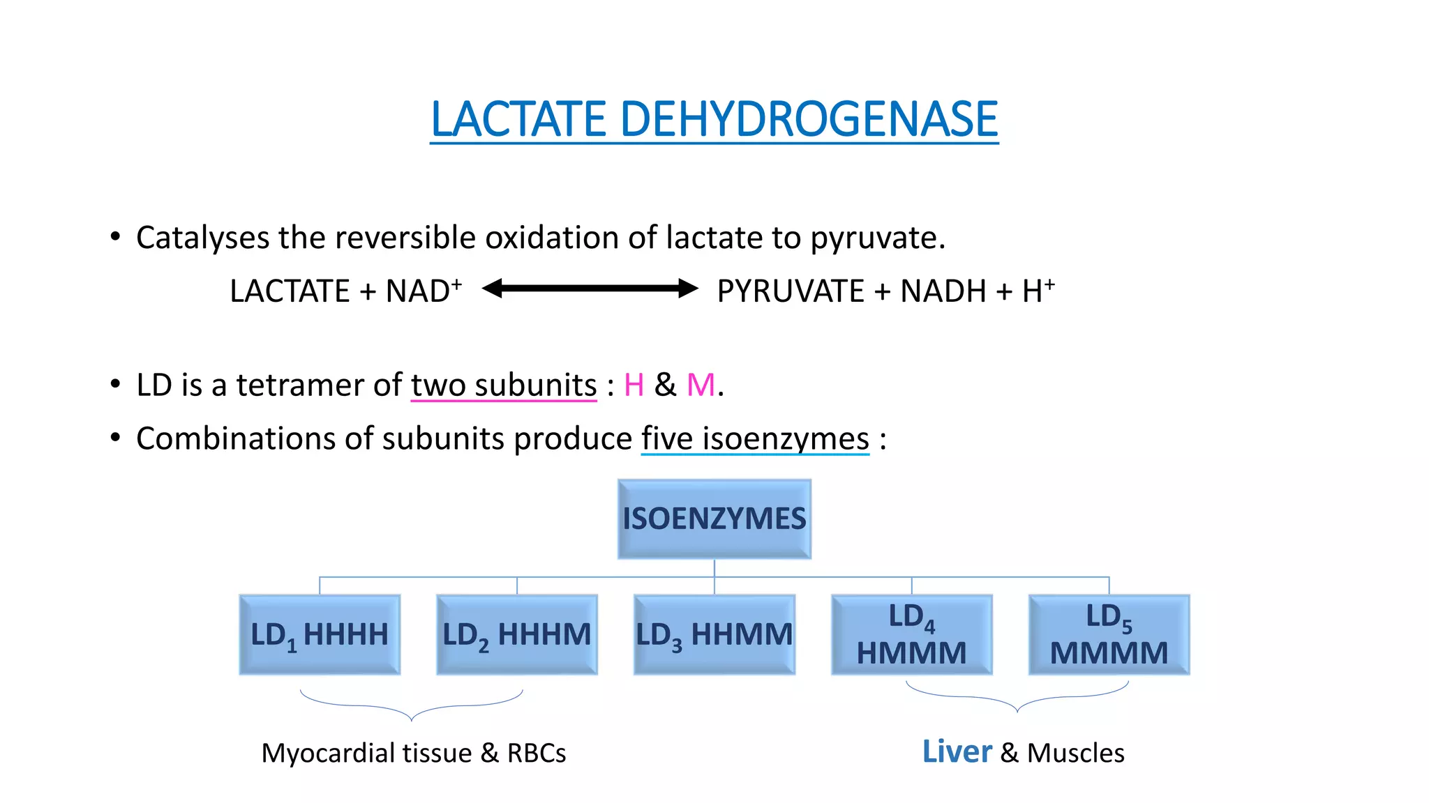 ROLE OF LIVER ENZYMES IN DIAGNOSTIC PATHOLOGY | PPTX