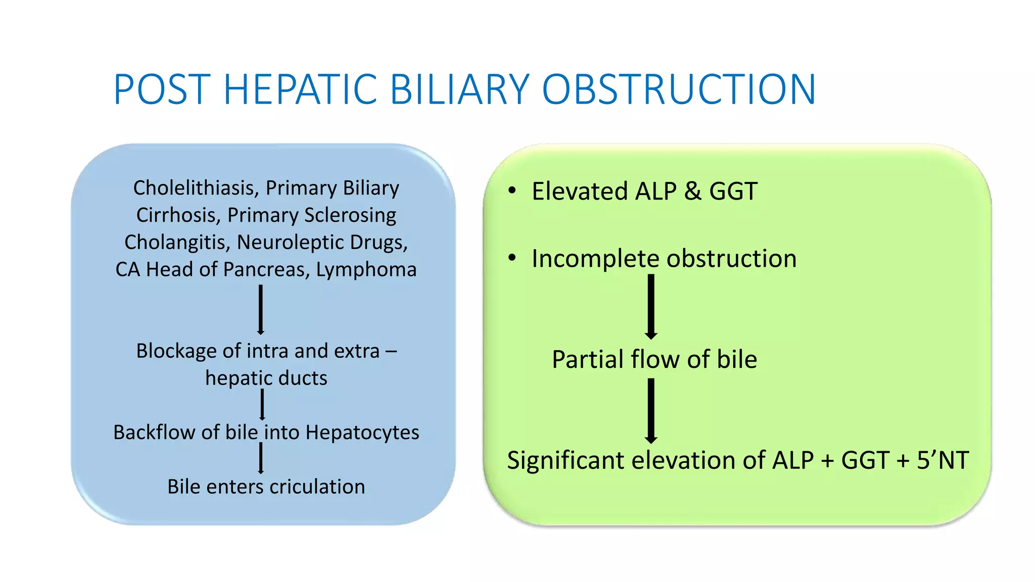 ROLE OF LIVER ENZYMES IN DIAGNOSTIC PATHOLOGY | PPTX