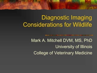 Diagnostic_imaging.ppt