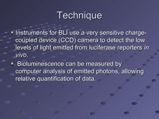 Ultrasound and imaging | PPT