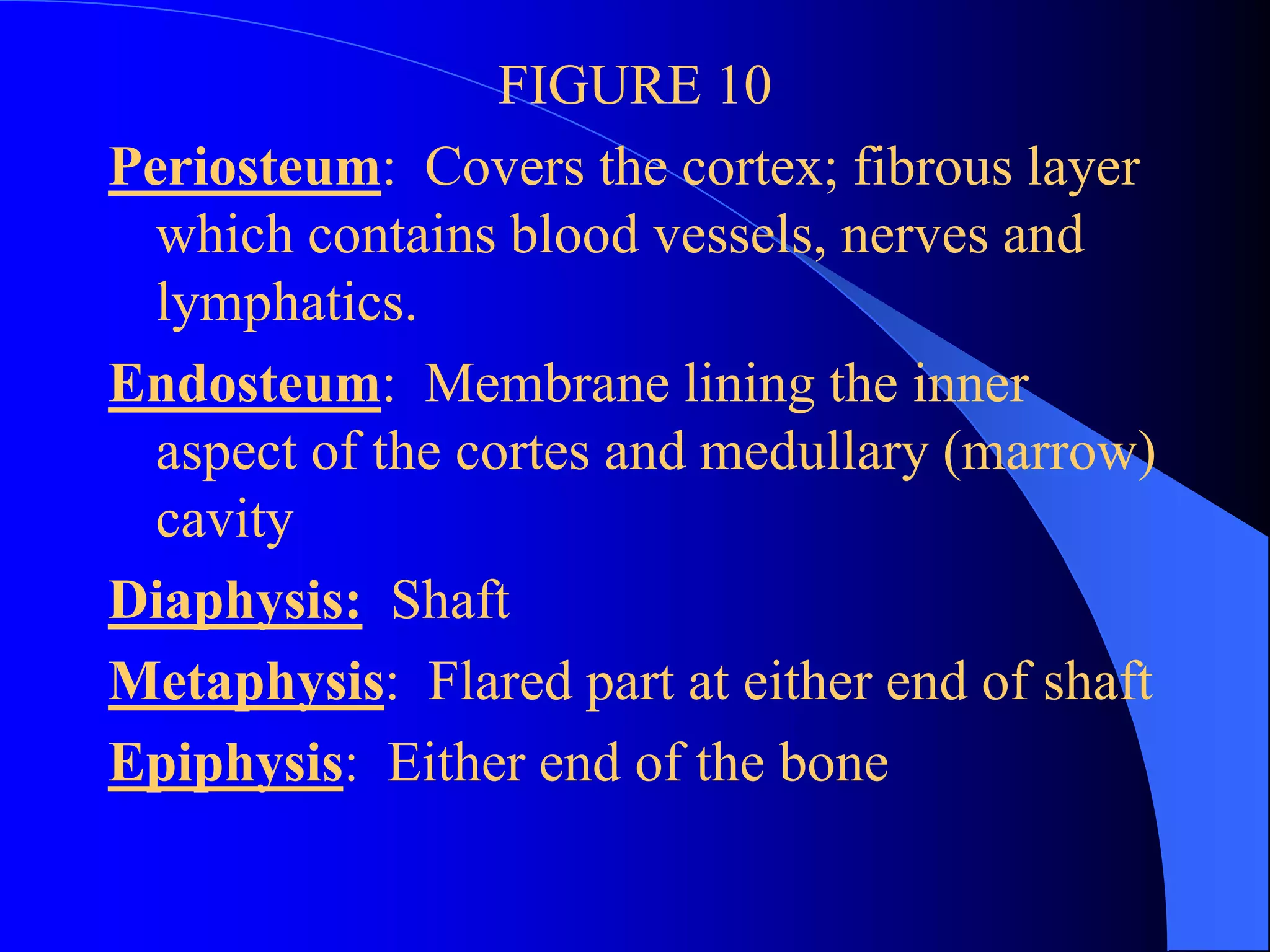 Diagnostic Imaging of Bones and Joints.pptx