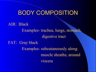 Diagnostic Imaging of Bones and Joints.ppt