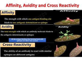 Diagnostic immunology presentation | PPTX