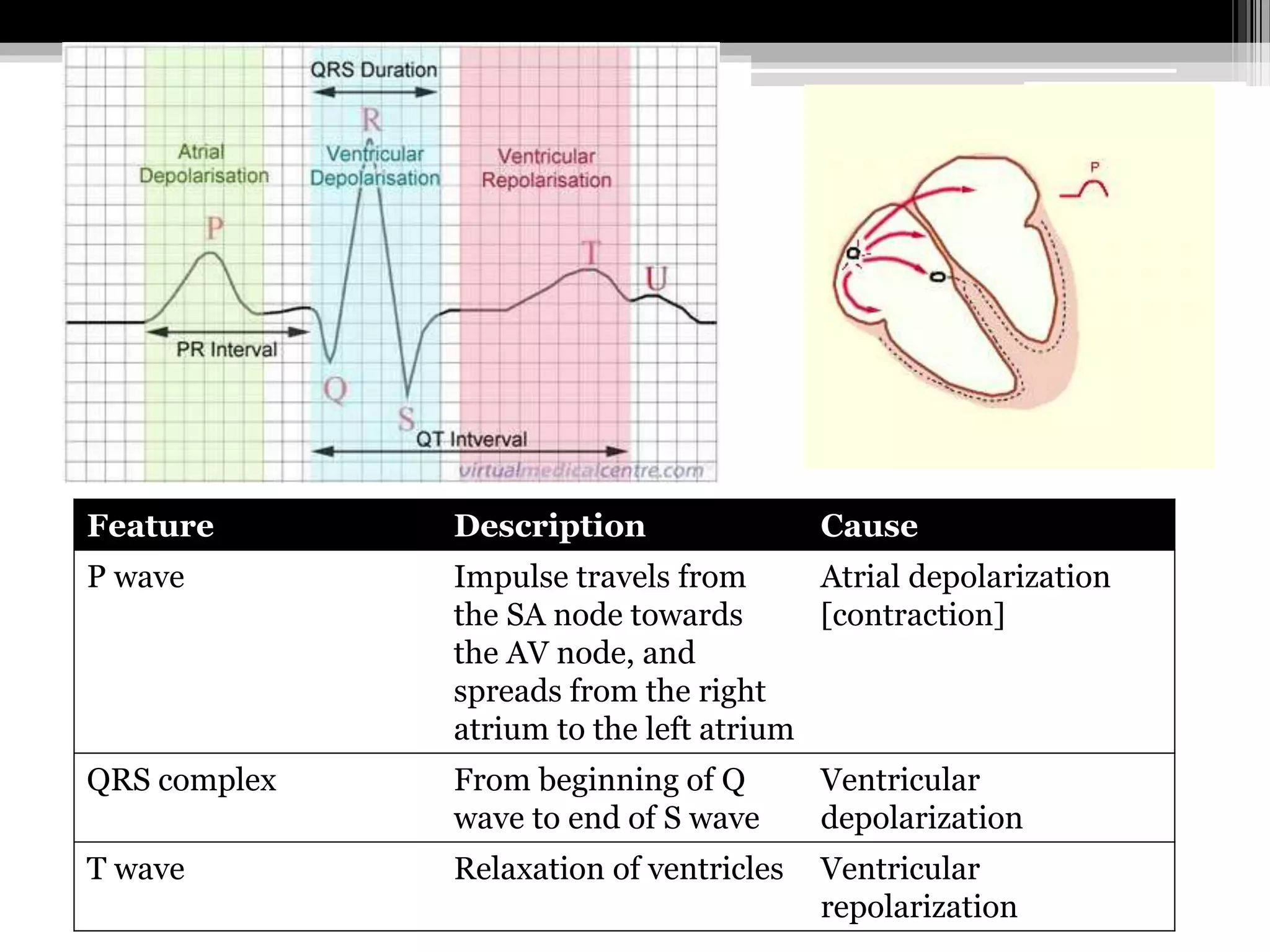 Diagnostic Investigations of Cardiovascular System | PPTX