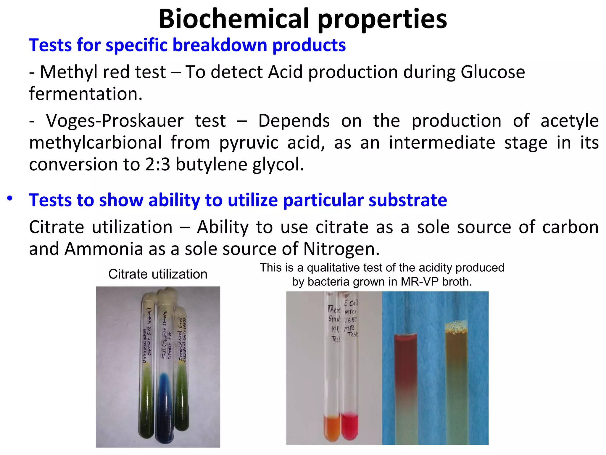 Diagnostic Medical Microbiology - Traditional and Modern approach | PPT