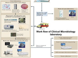Diagnostic Medical Microbiology - Traditional and Modern approach | PPT