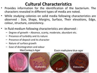 Diagnostic Medical Microbiology - Traditional and Modern approach | PPT