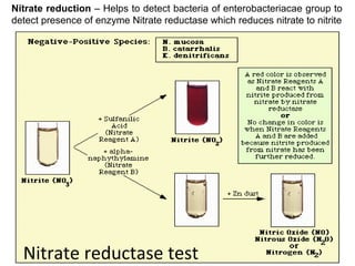 Diagnostic Medical Microbiology - Traditional and Modern approach | PPT
