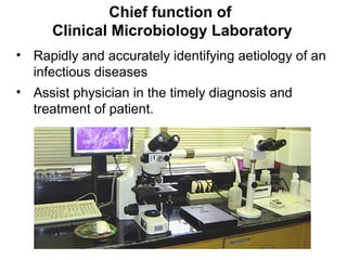 Diagnostic Medical Microbiology - Traditional and Modern approach | PPT