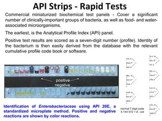Diagnostic Medical Microbiology - Traditional and Modern approach | PPT