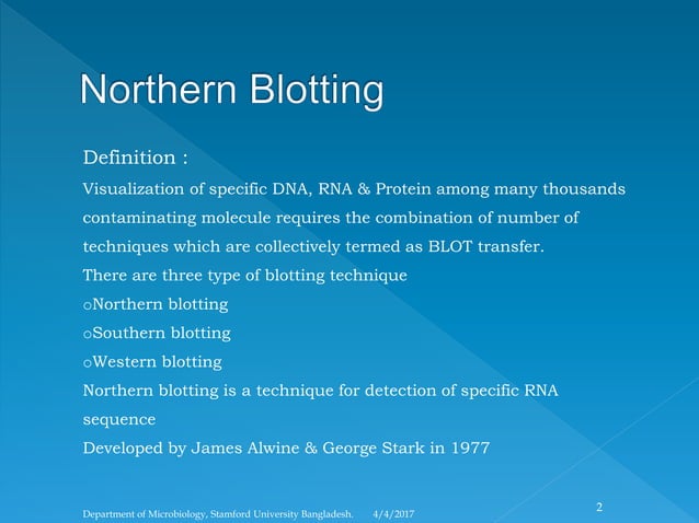 Northern Blotting technique | PPT