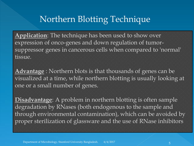 Northern Blotting technique | PPT