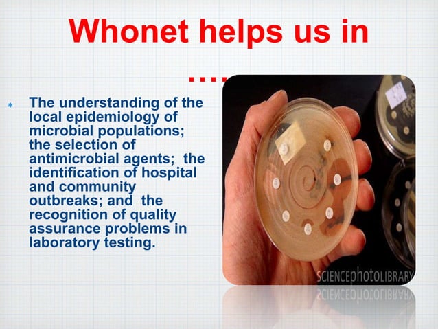 Diagnostic microbiology in Antibiotic policy | PPTX