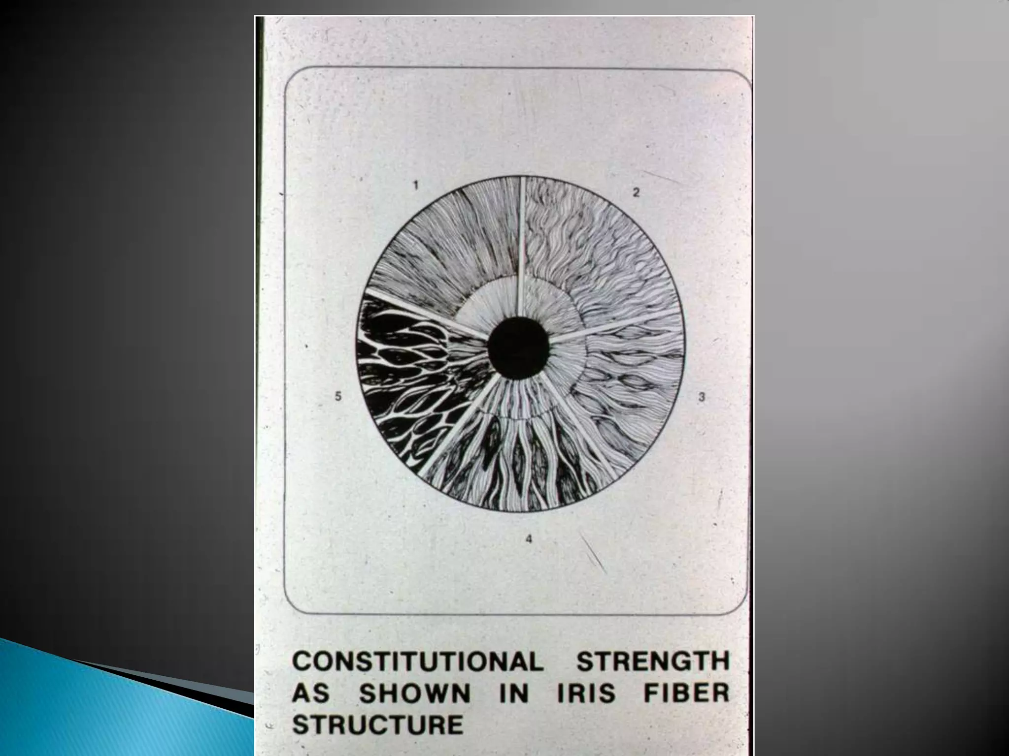 Introduccion a la Iridologia | PPTX