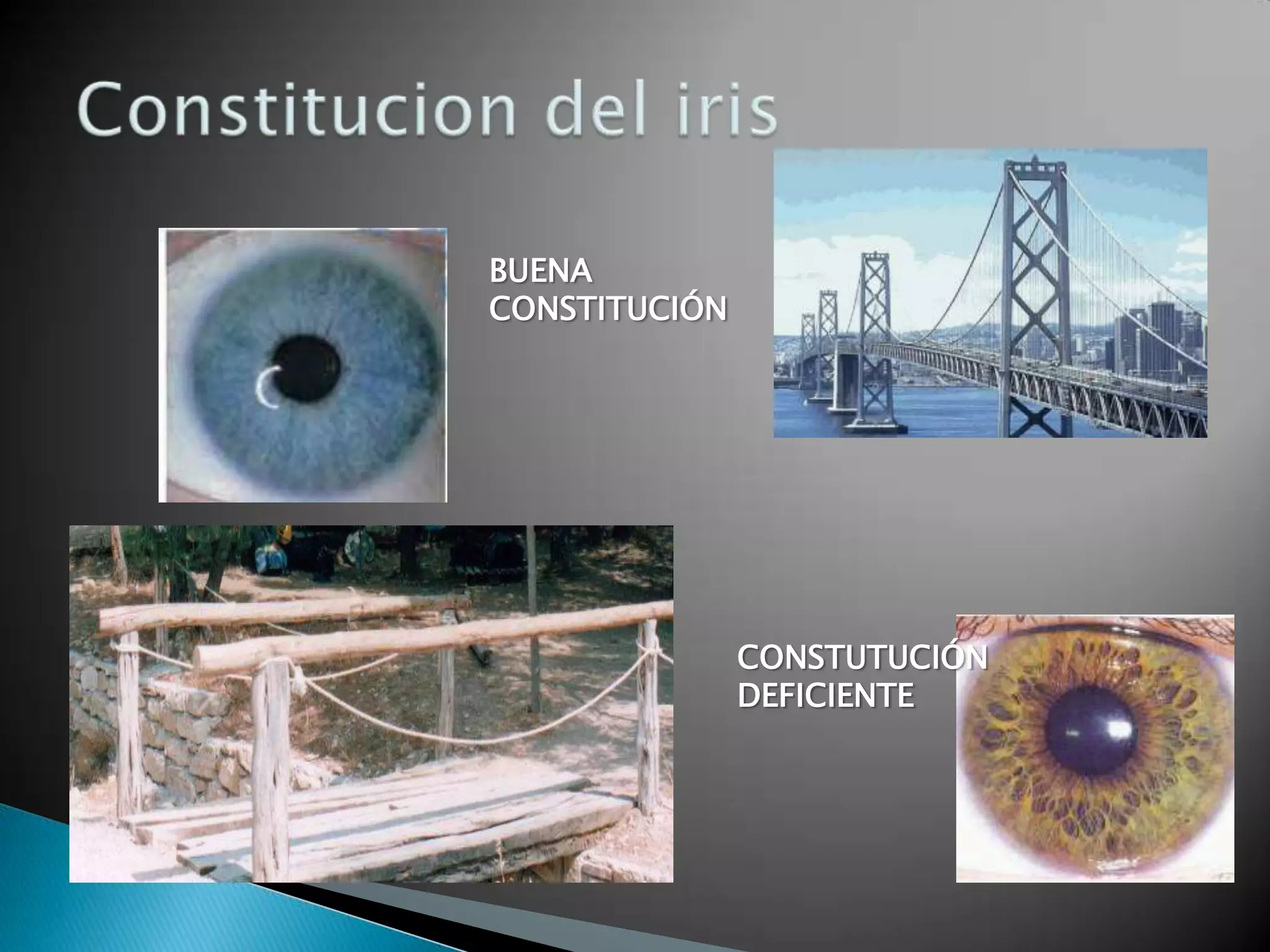 Introduccion a la Iridologia | PPTX