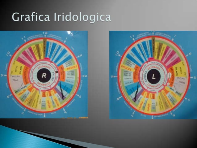 Introduccion a la Iridologia | PPTX