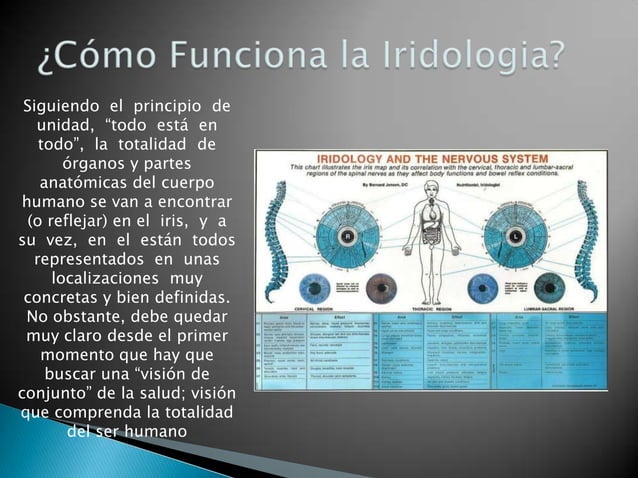 Introduccion a la Iridologia | PPTX