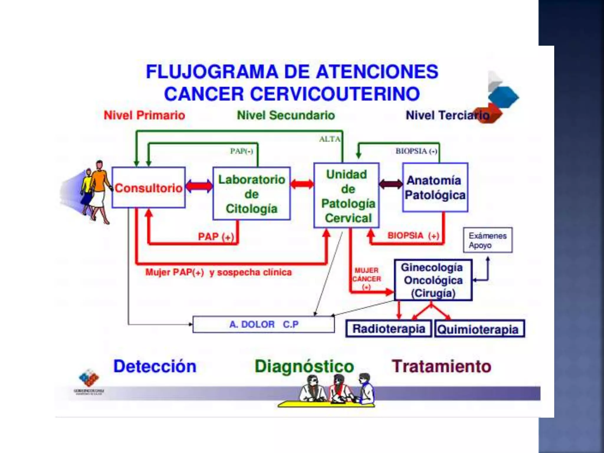 Diagnostico cacu | PPTX