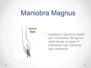Diagnostico | PDF
